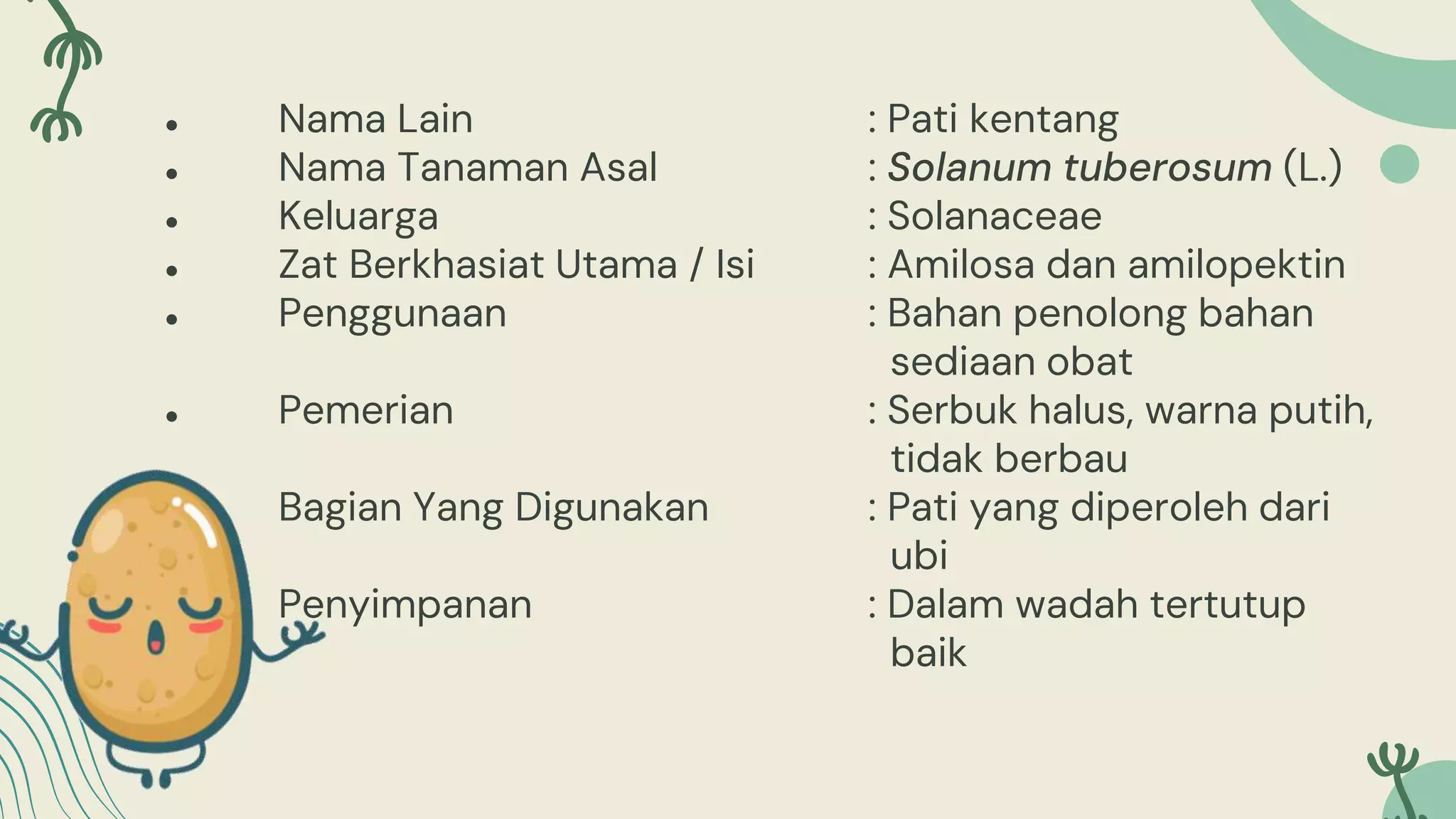 simplisia amylum.pptx