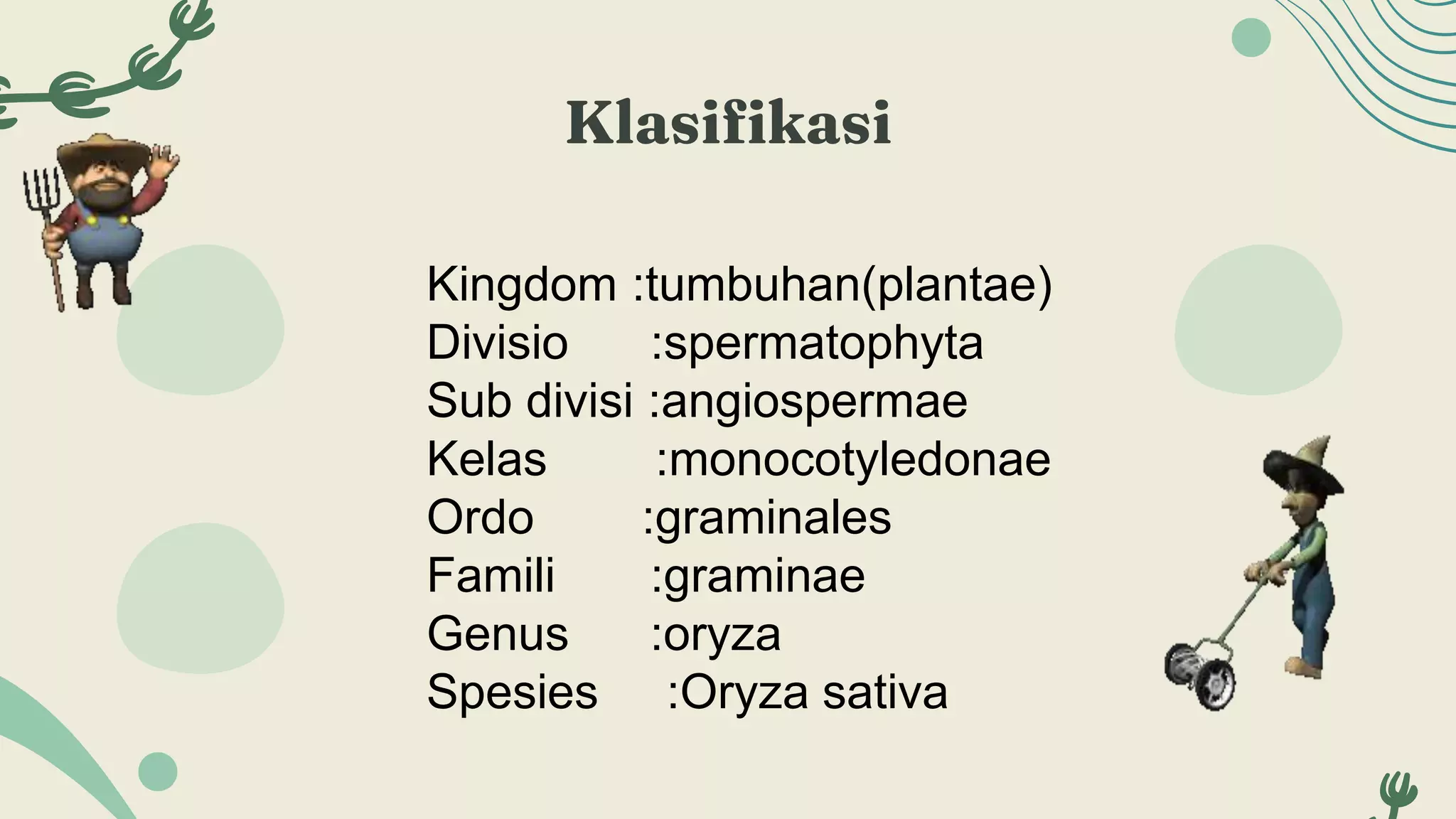 simplisia amylum.pptx