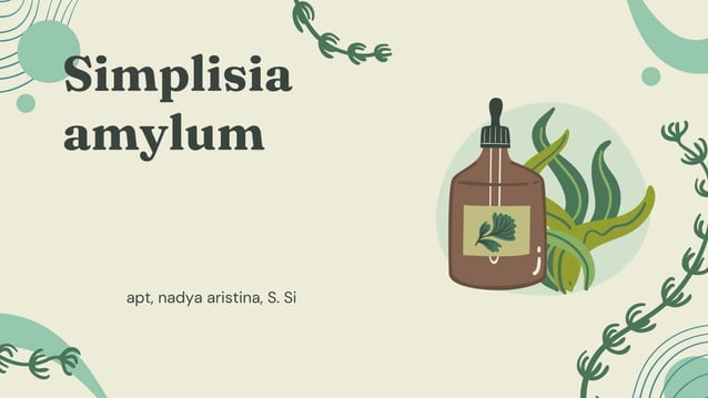 simplisia amylum.pptx