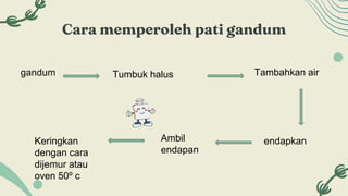 simplisia amylum.pptx