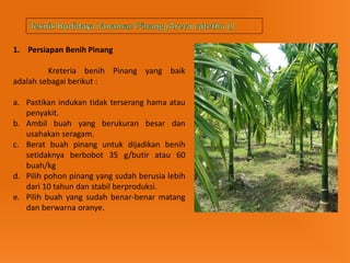 SIMPLISIA BIJI PINANG.pptx