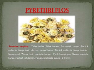 SIMPLISIA BUNGA (tugas kelompok 3).pptx