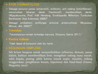 SIMPLISIA BUNGA (tugas kelompok 3).pptx