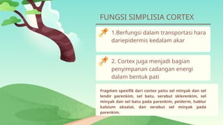 jenis jenis SIMPLISIA DAN karakteristik CORTEX | PPTX