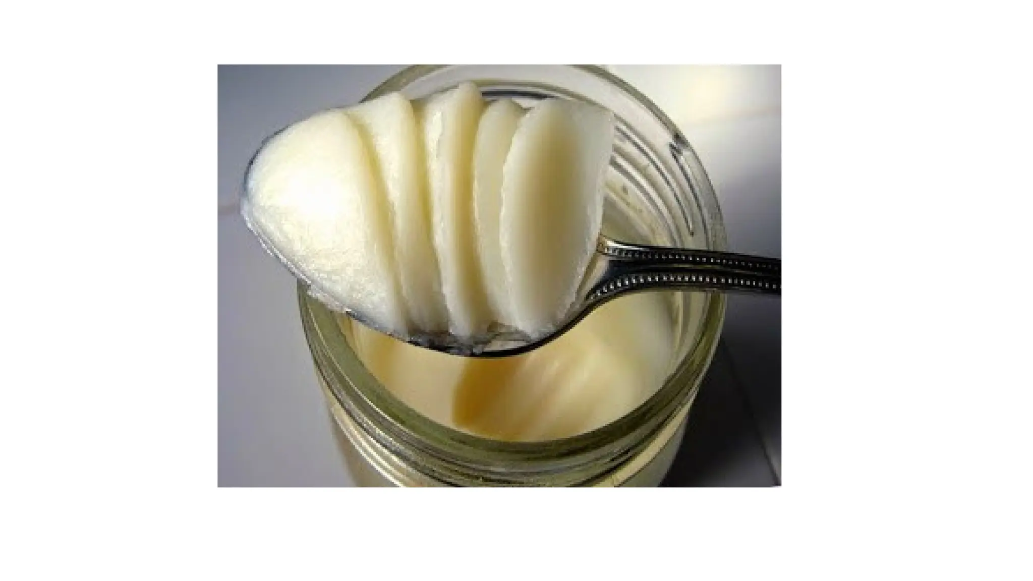 Simplisia Dari Hewan, yang ada di indonesia | PPT