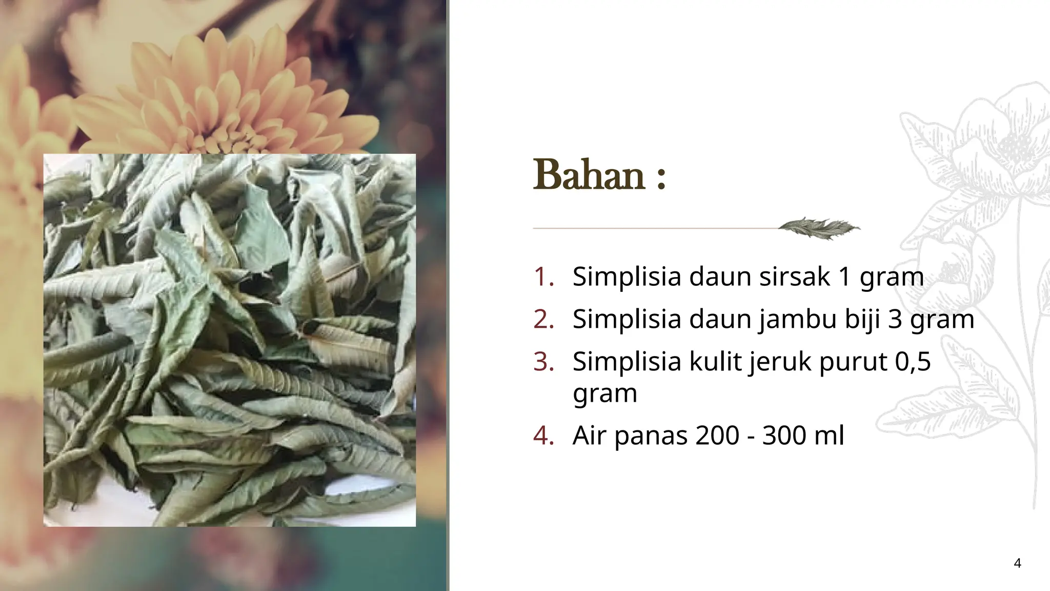 simplisia daun sirsak, jeruk purut, daun jambu biji.pptx