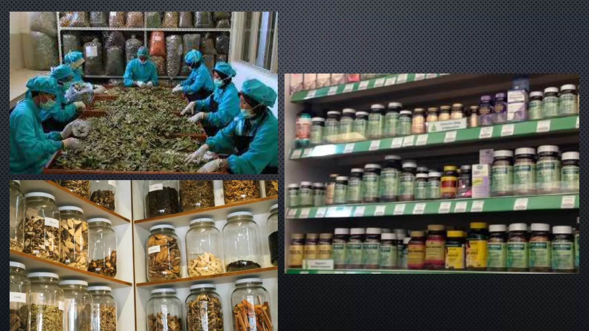 Simplisia nabati.pptx