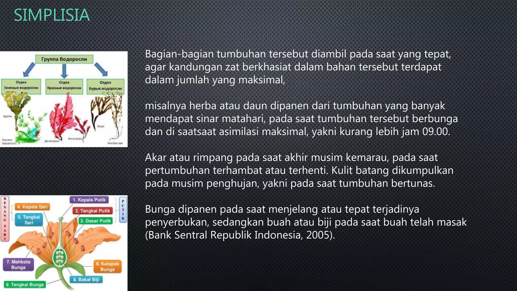 Simplisia nabati.pptx