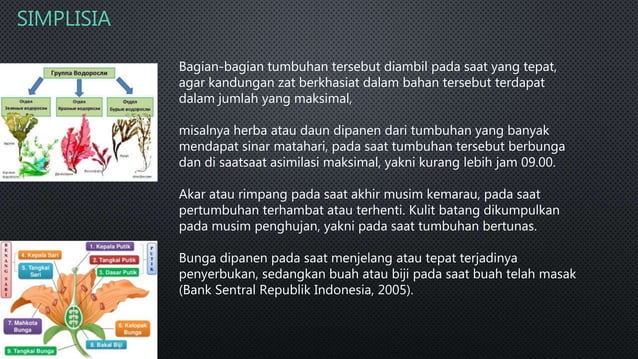 Simplisia nabati.pptx
