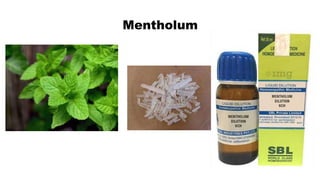 simplisia oleum.pptx