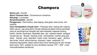simplisia oleum.pptx