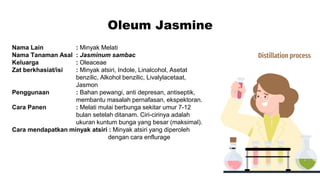 simplisia oleum.pptx