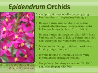 Simpodial orkid | PPT