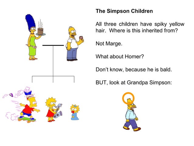 Simpsons inheritance powerpoint | PPT