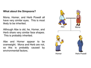 Simpsons inheritance powerpoint | PPT