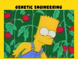 Simpsons science | PPT