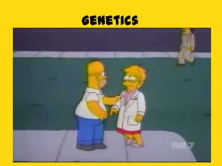 Simpsons science | PPT