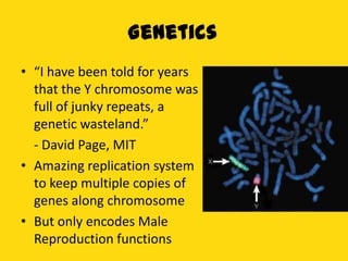 Simpsons science | PPT