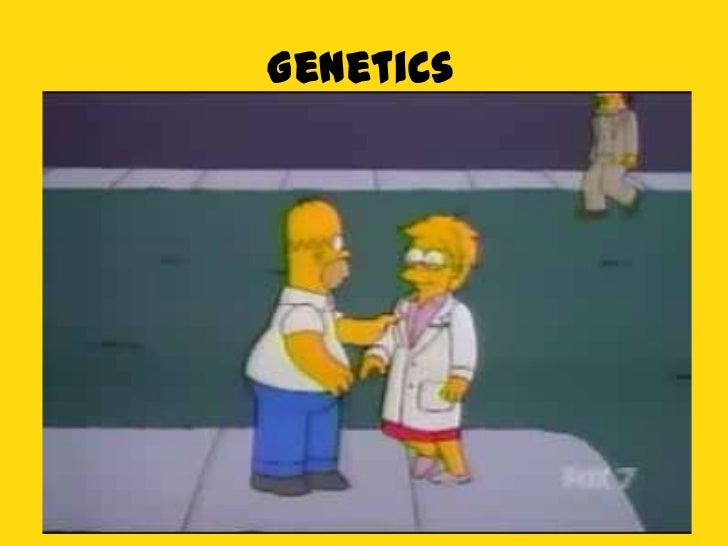 Simpsons science