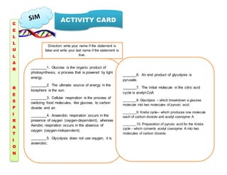 Cellular Respiration (SIM) | DOCX | Chemistry | Science