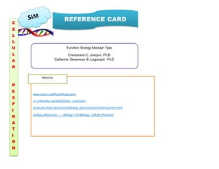 Cellular Respiration (SIM) | DOCX | Chemistry | Science