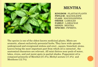 Phytochemical Analysis on MENTHA and BACOPA Dissertation PPT | PDF