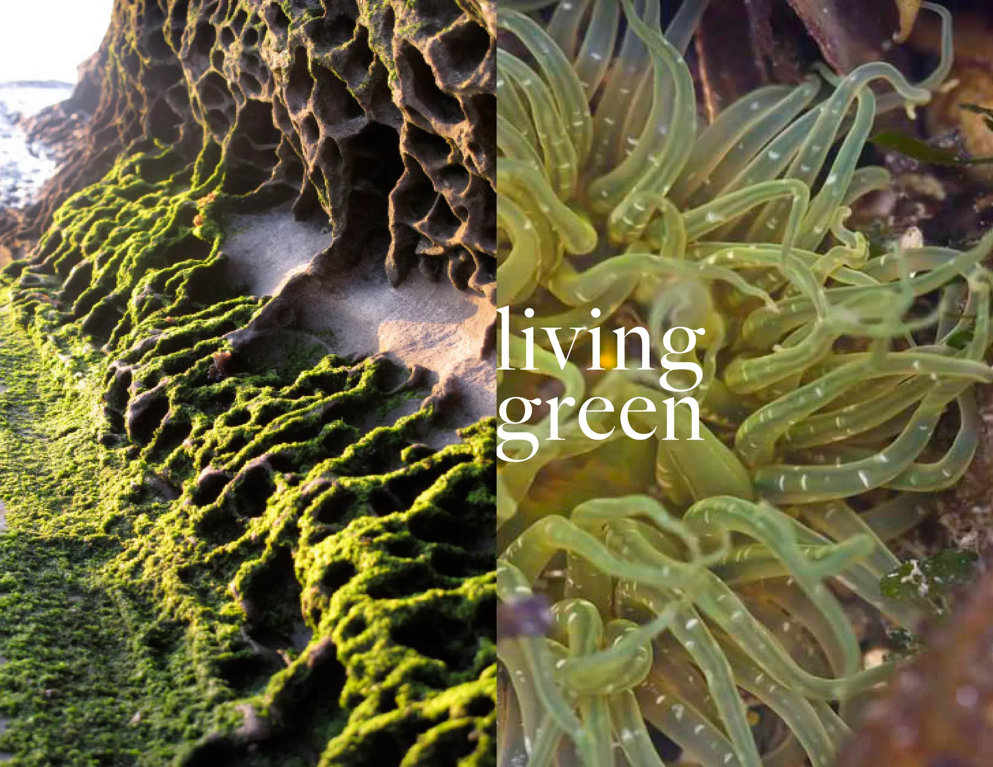 SIMRES Presentation | PDF