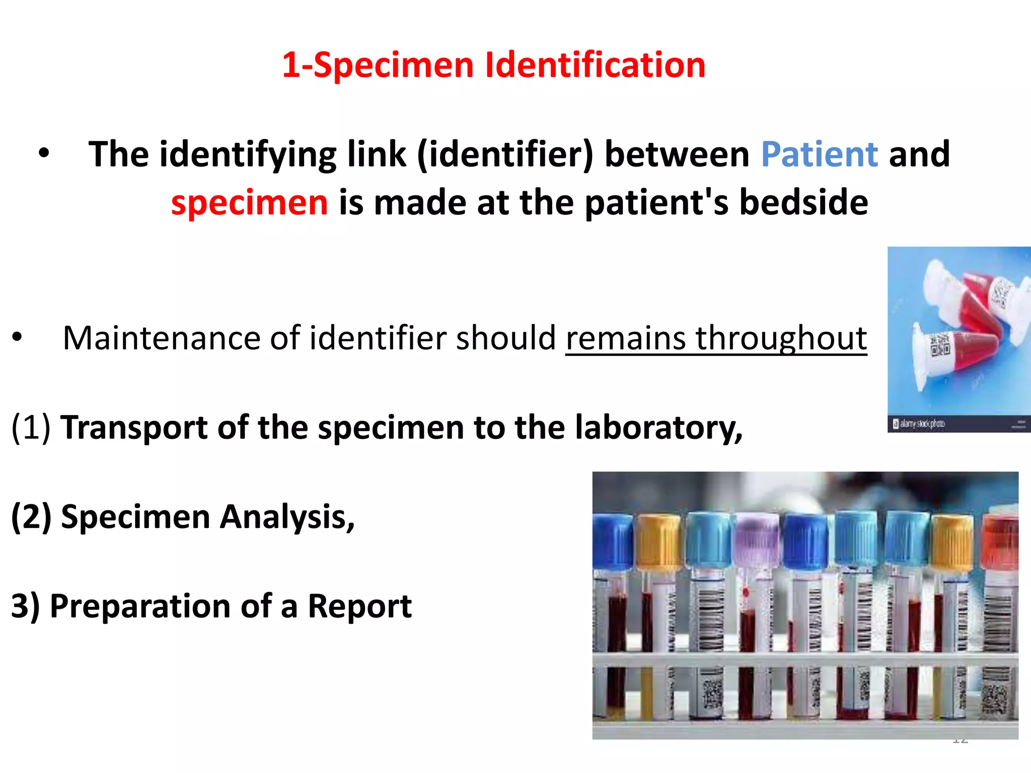 Automation in the Clinical Lab | PPTX