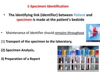 Automation in the Clinical Lab | PPTX