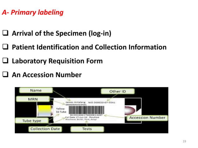 Automation in the Clinical Lab | PPTX | Chemistry | Science