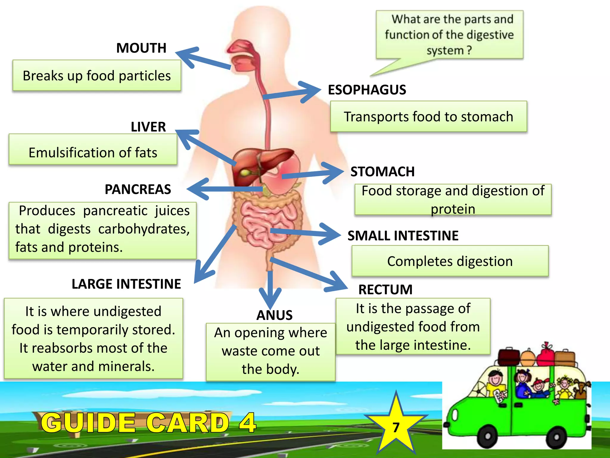 Strategic Intervention Materials Science 6 | PPTX