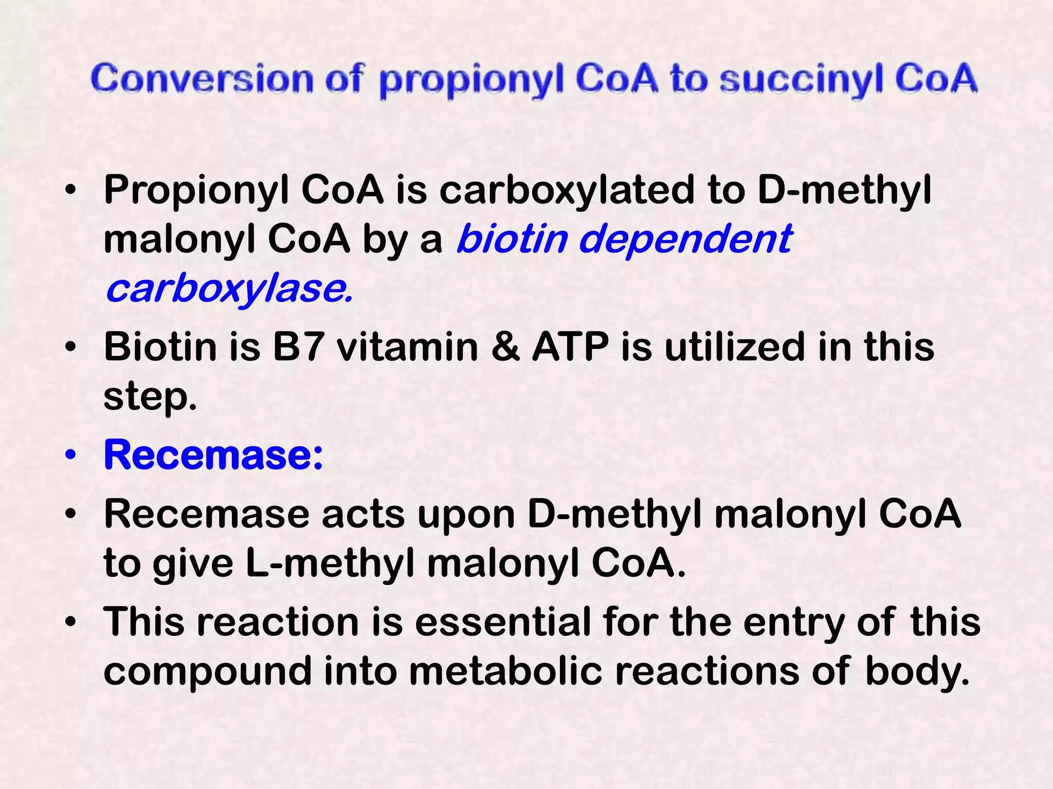Beta-oxidation of fatty acids | PPTX