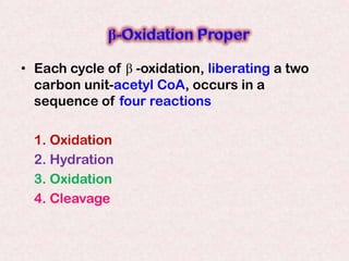 Beta-oxidation of fatty acids | PPTX