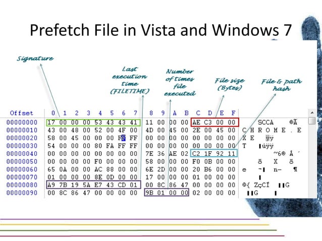 Windows Forensics | PPTX | Operating Systems | Computer Software and Applications