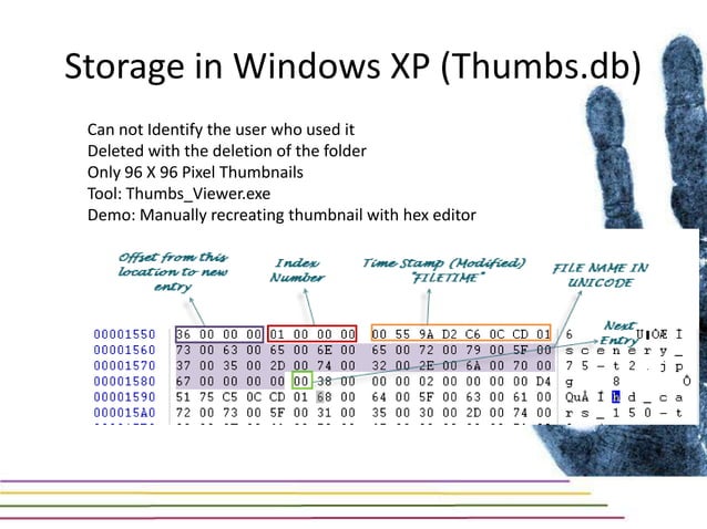 Windows Forensics | PPTX | Operating Systems | Computer Software and Applications
