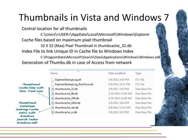 Windows Forensics | PPTX | Operating Systems | Computer Software and Applications