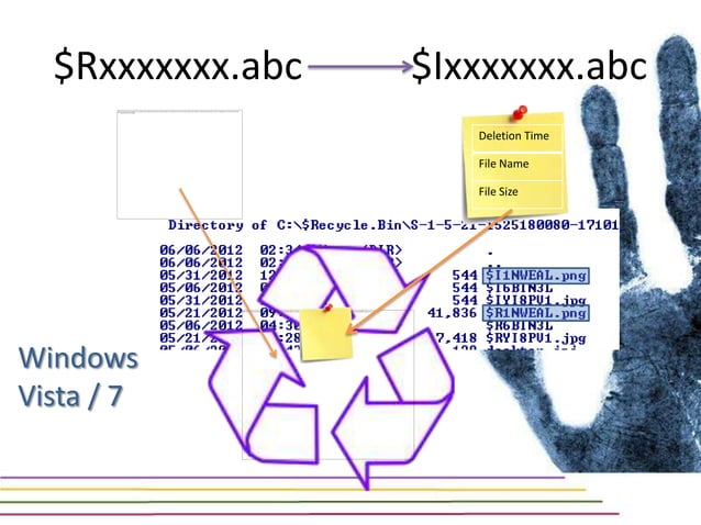 Windows Forensics | PPTX | Operating Systems | Computer Software and Applications