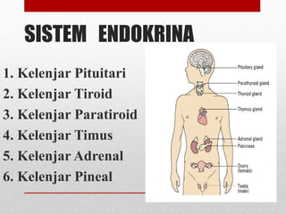 Simtomatologi sistem endokrina | PPT