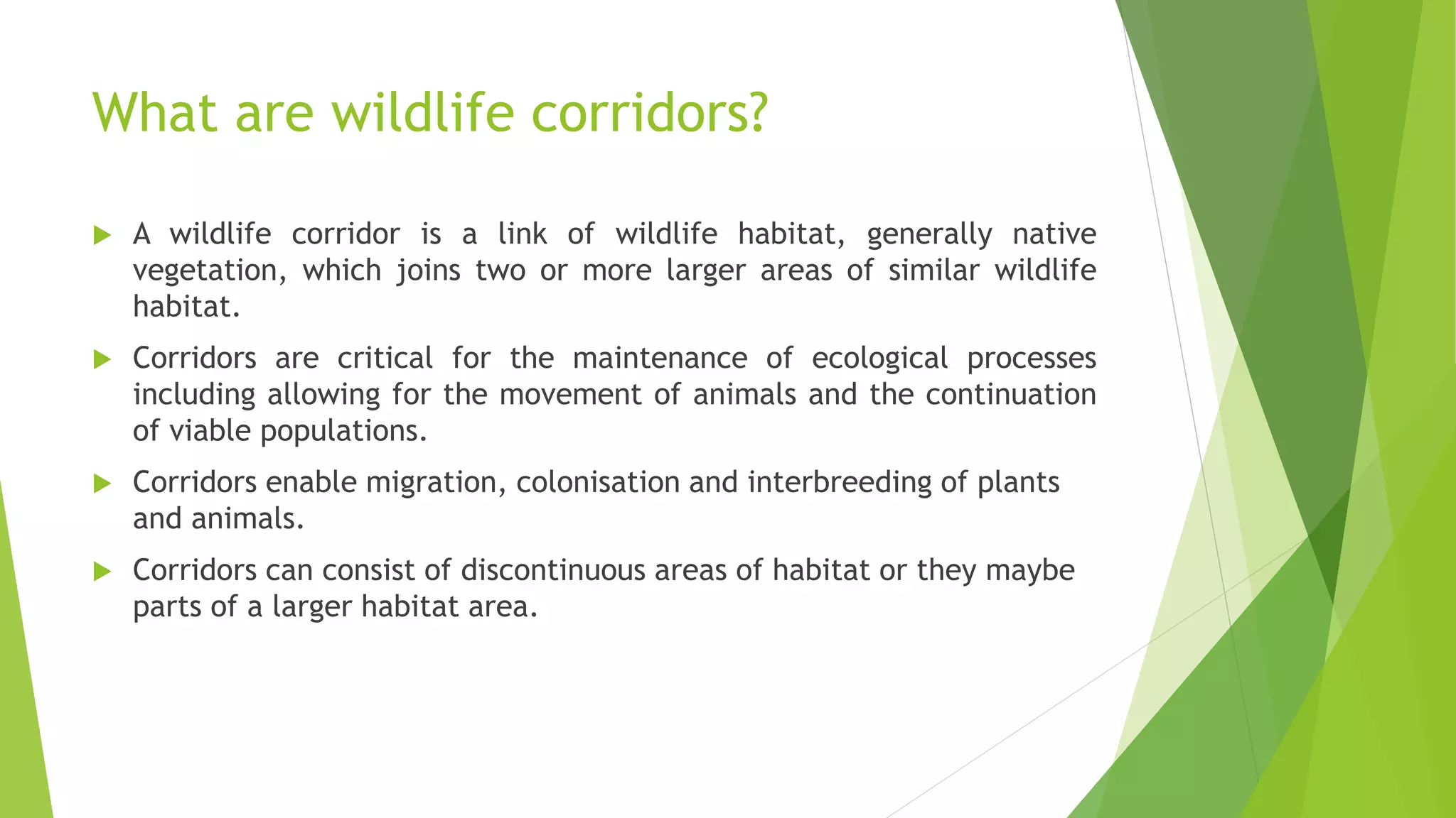 Wildlife Corridors | PPTX
