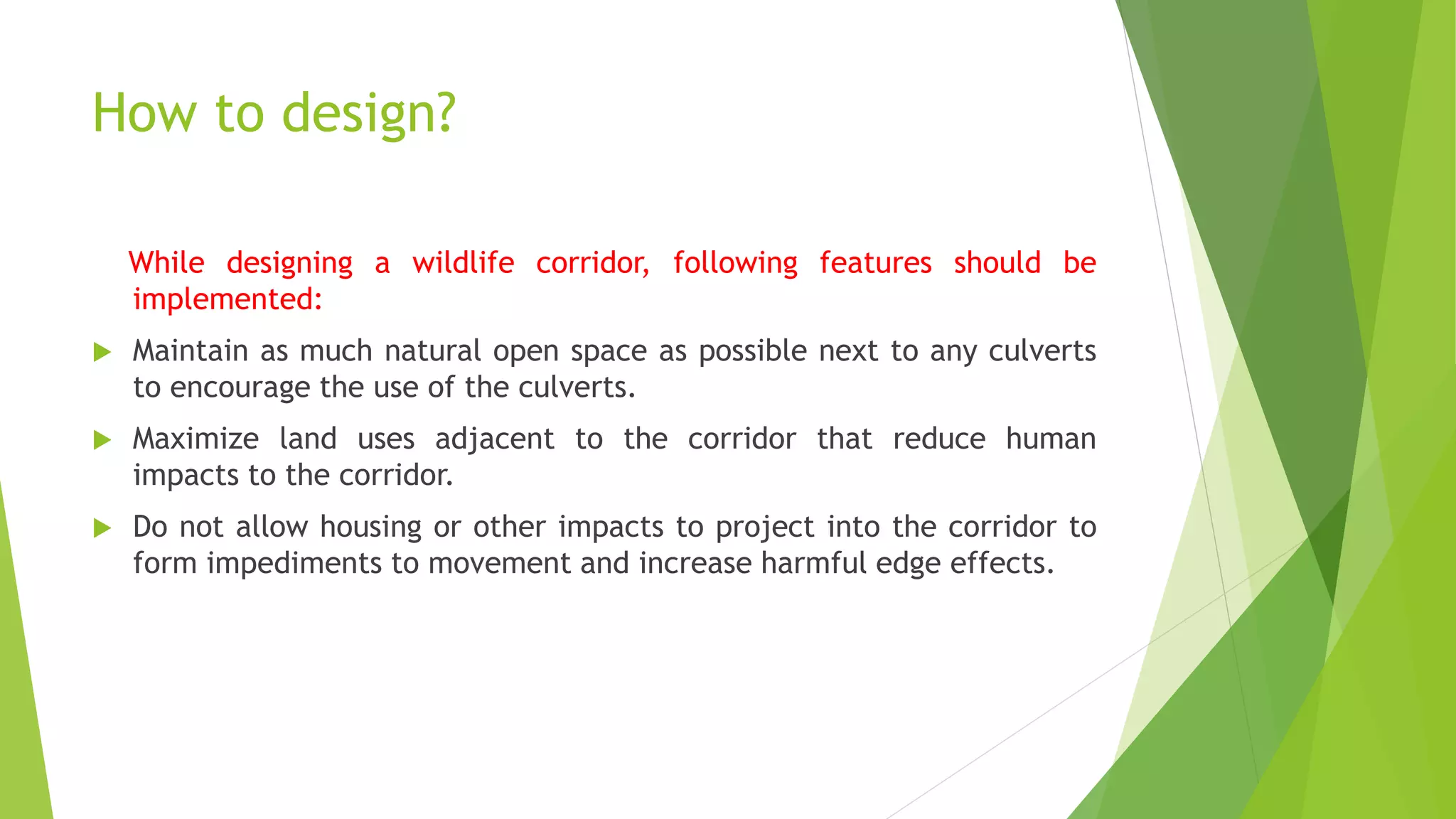 Wildlife Corridors | PPTX
