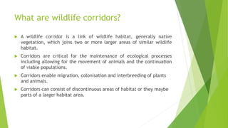 Wildlife Corridors | PPTX