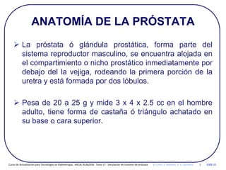 Tomografia Simulacion cancer de prostata | PPT