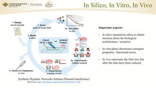 Simulacion In Silico para Soluciones Biomedicas | PDF