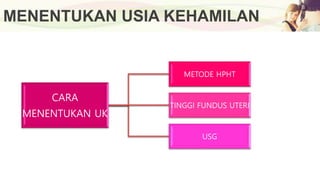 ASUHAN KEBIDANAN KEHAMILAN MENENTUKAN USIA KEHAMILAN | PPTX