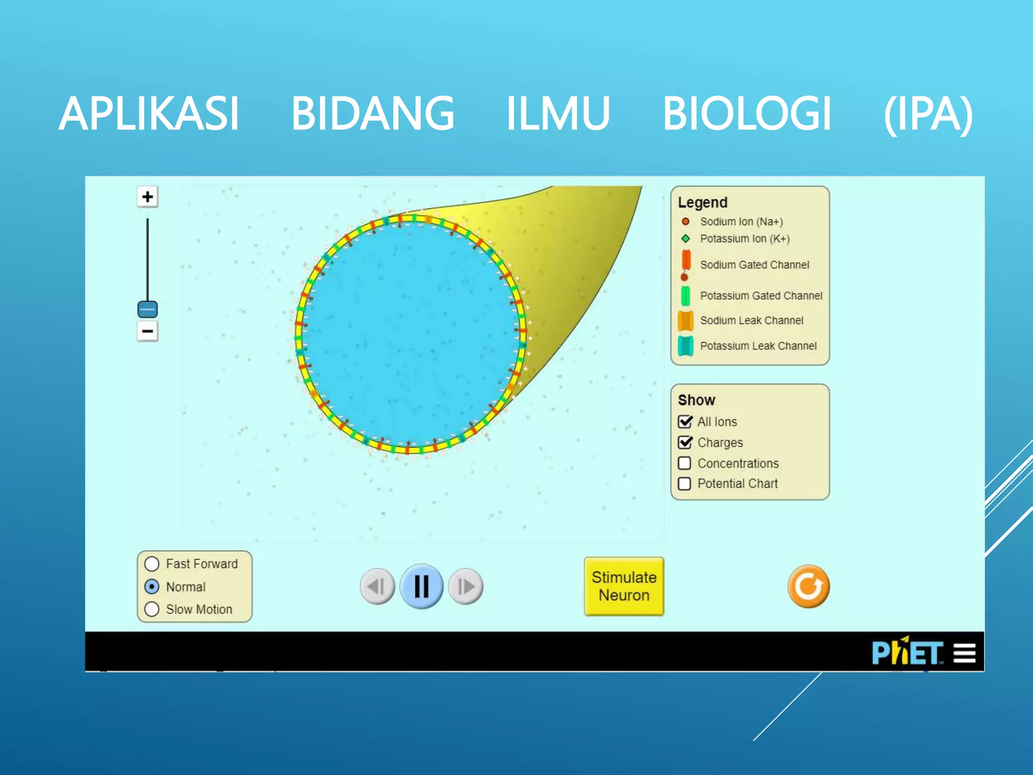 Simulasi PHET Diyan.pptx