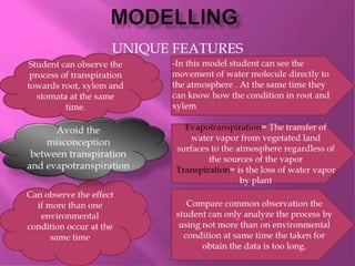 Simulation and modelling | PPT
