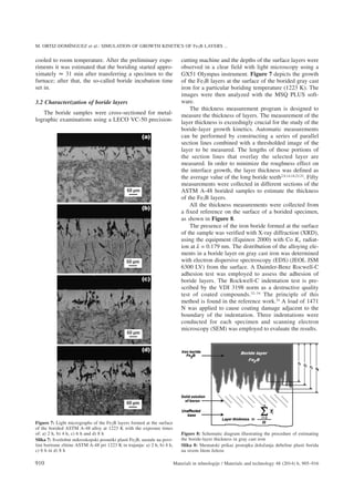 Simulation of growth kinetics of fe2 b layers formed on gray cast iron ...