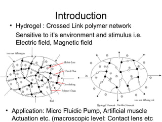 Simulation Of Hydrogel Micro Actuation | PPT