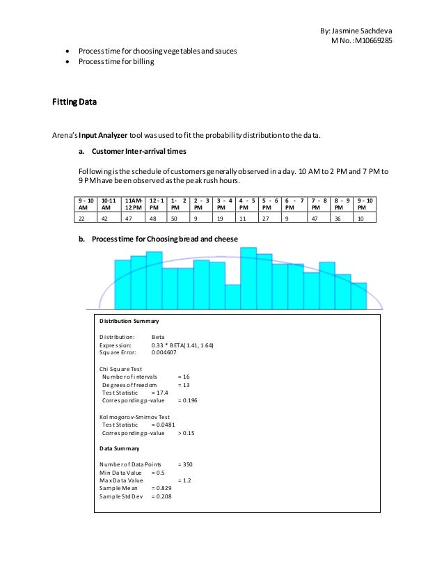Simulation Project Report
