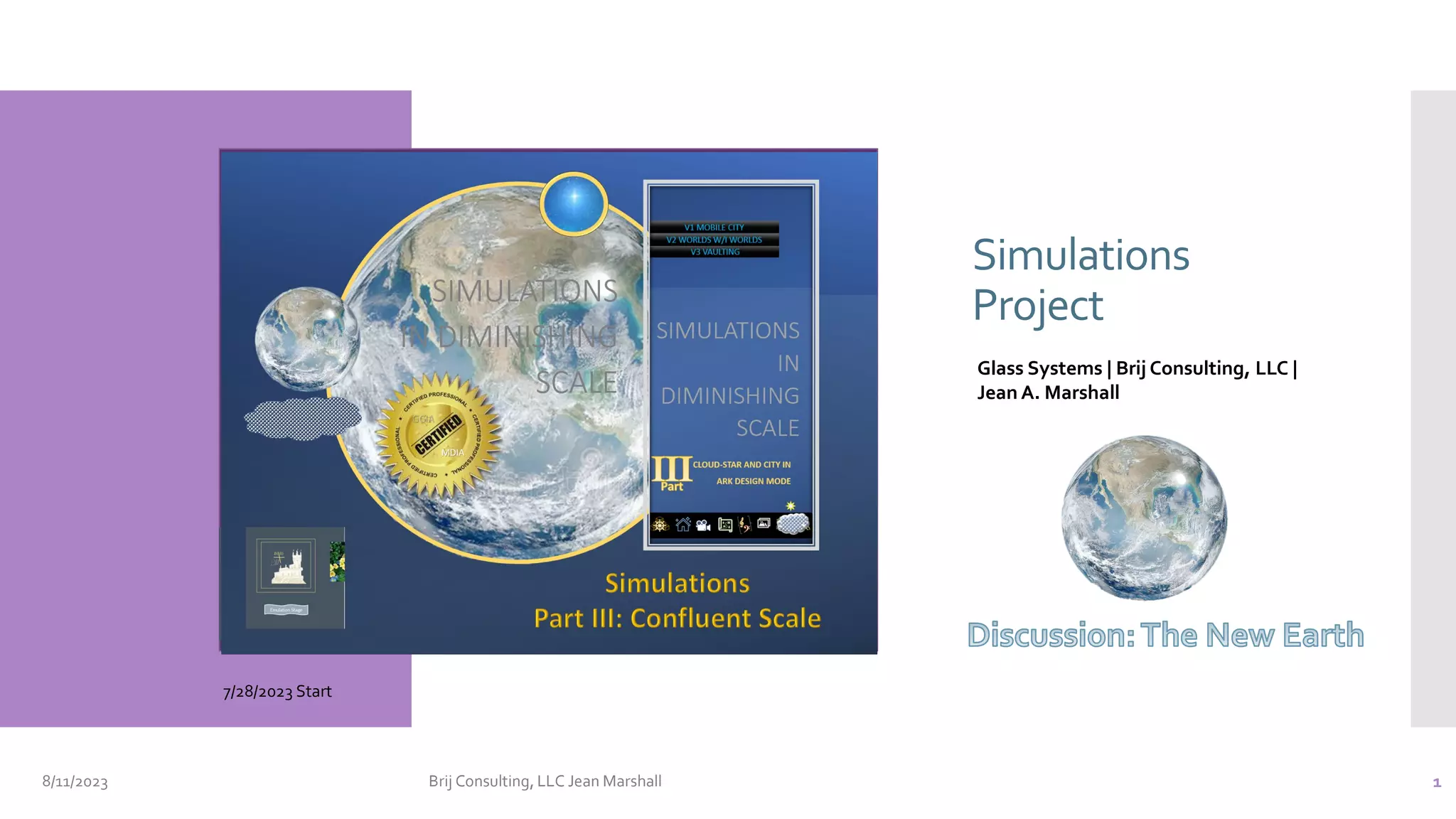 Simulations Part III.pdf